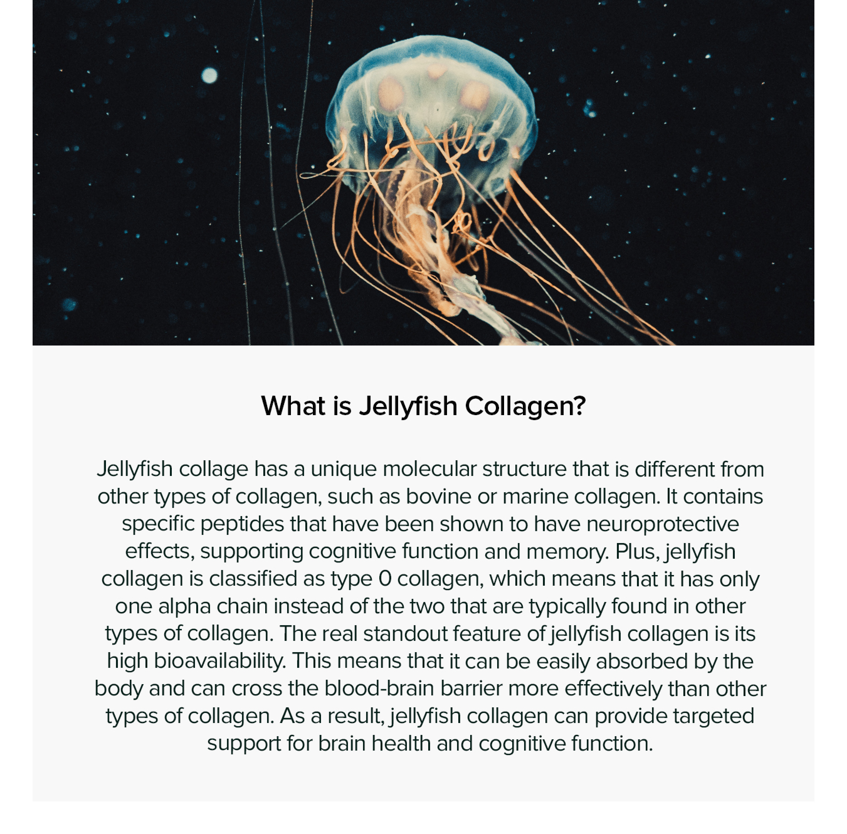 Faithful to Nature: NEW Jellyfish Collagen is Here! 💥 | Milled
