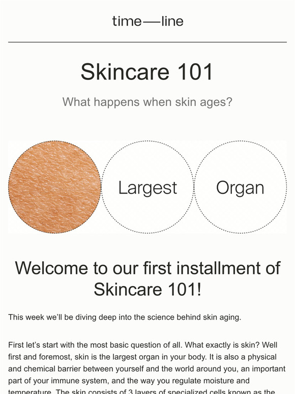 Timeline Nutrition: Skincare 101: The Science of Skin Aging | Milled