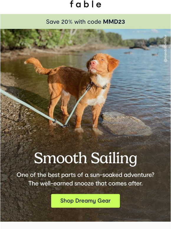 Fable Pets: Create your dog's post-play oasis | Milled