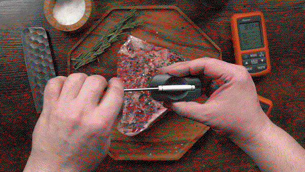 ThermoPro: Get the Thermometer Seen on NBC's TODAY | Milled