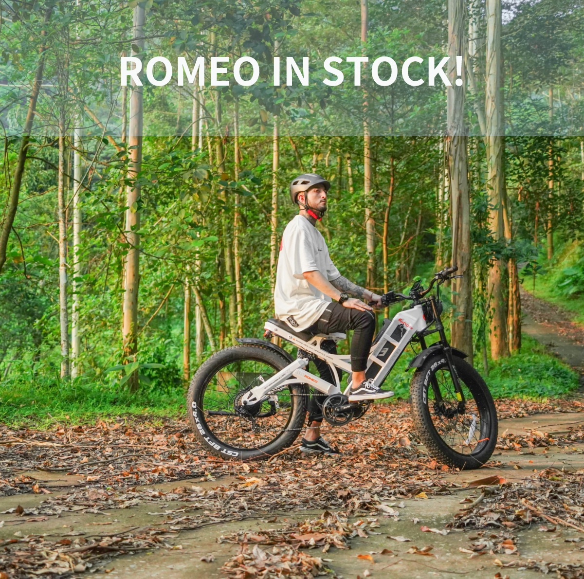 Eahora: Romeo, Your Best Pick For Adventure! | Milled