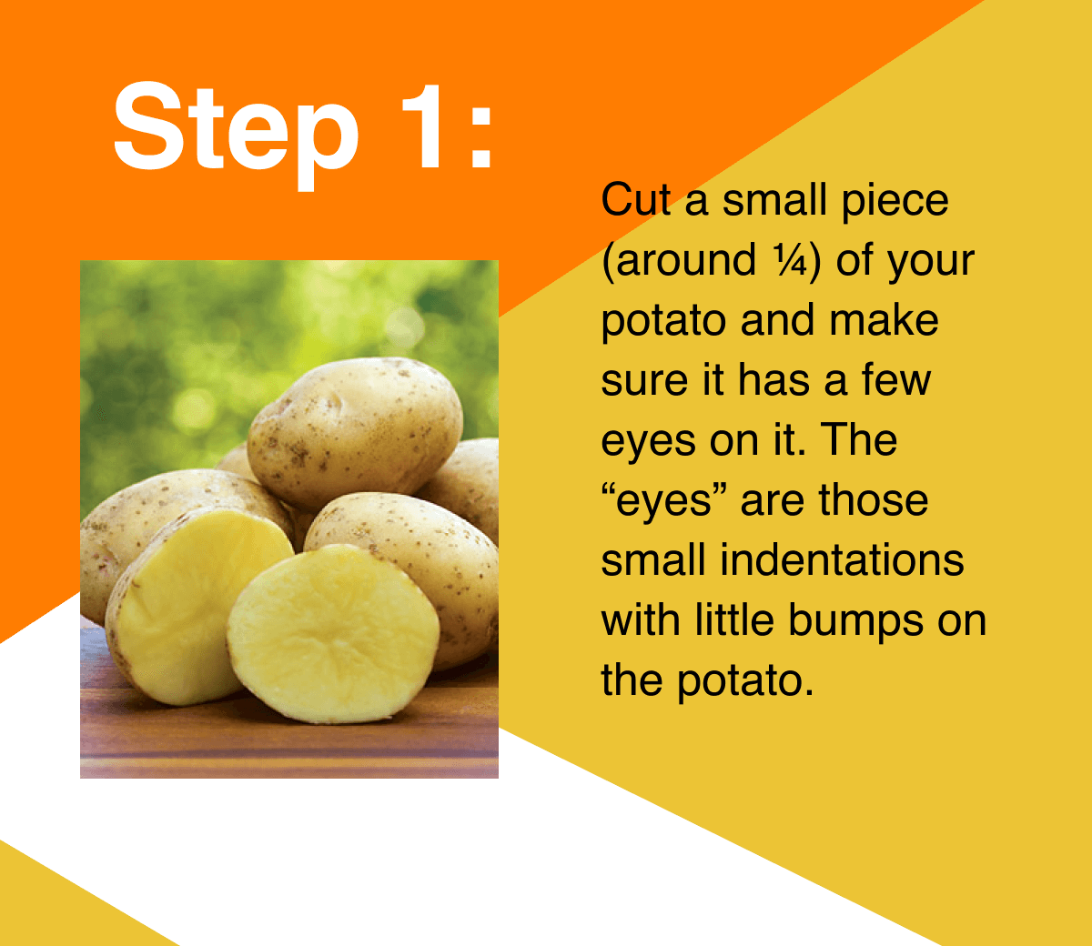 Potato Parcel: How To Plant A Potato 🥔📝 | Milled