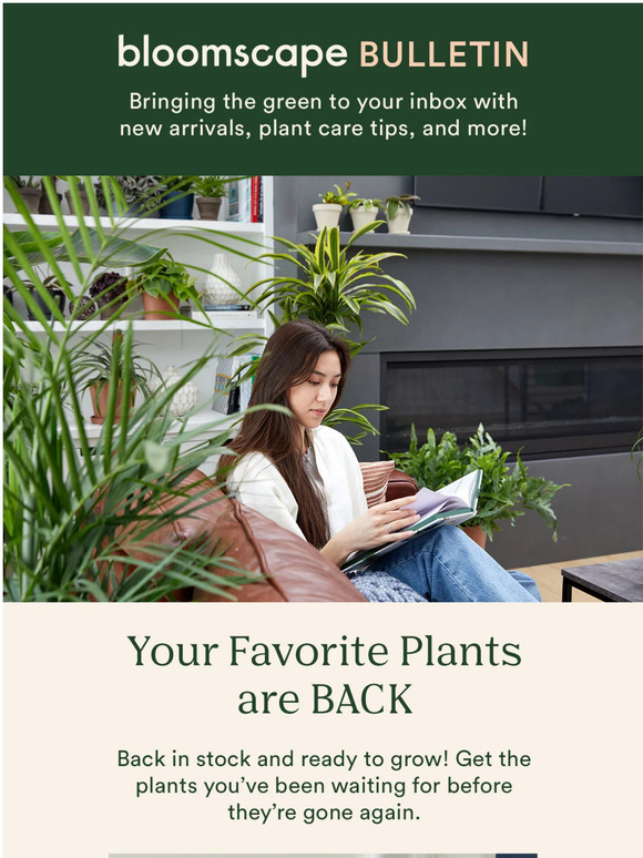 Bloomscape: What's new and now this month at Bloomscape | Milled