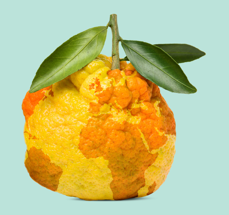 Dash Water: How wonky makes a real difference | Milled