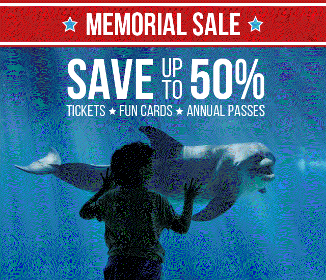 SeaWorld: 🏄 Plan A Trip To Ride The Wave! | Milled