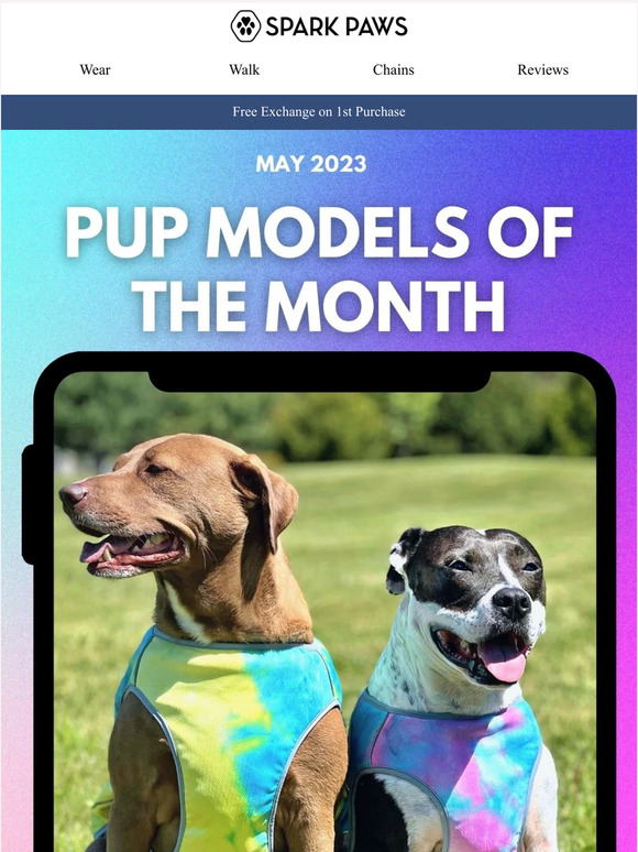 Spark Paws: Meet The Doggy Models of the Month! 😍 (PUR) | Milled