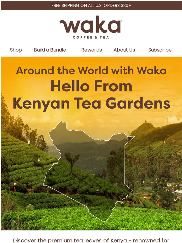 Waka Coffee: Discover the World of Kenyan Tea | Milled