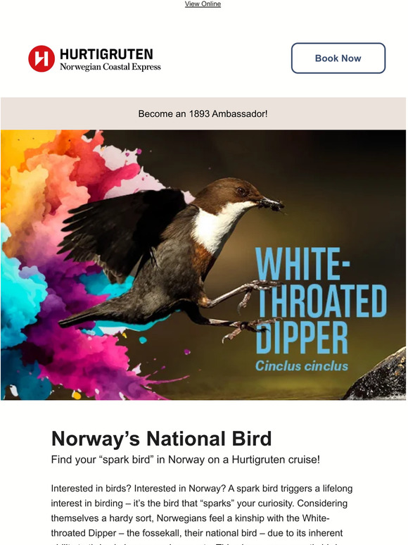 Hurtigruten: Meet Norway’s National Bird in Land of the Midnight Sun ...