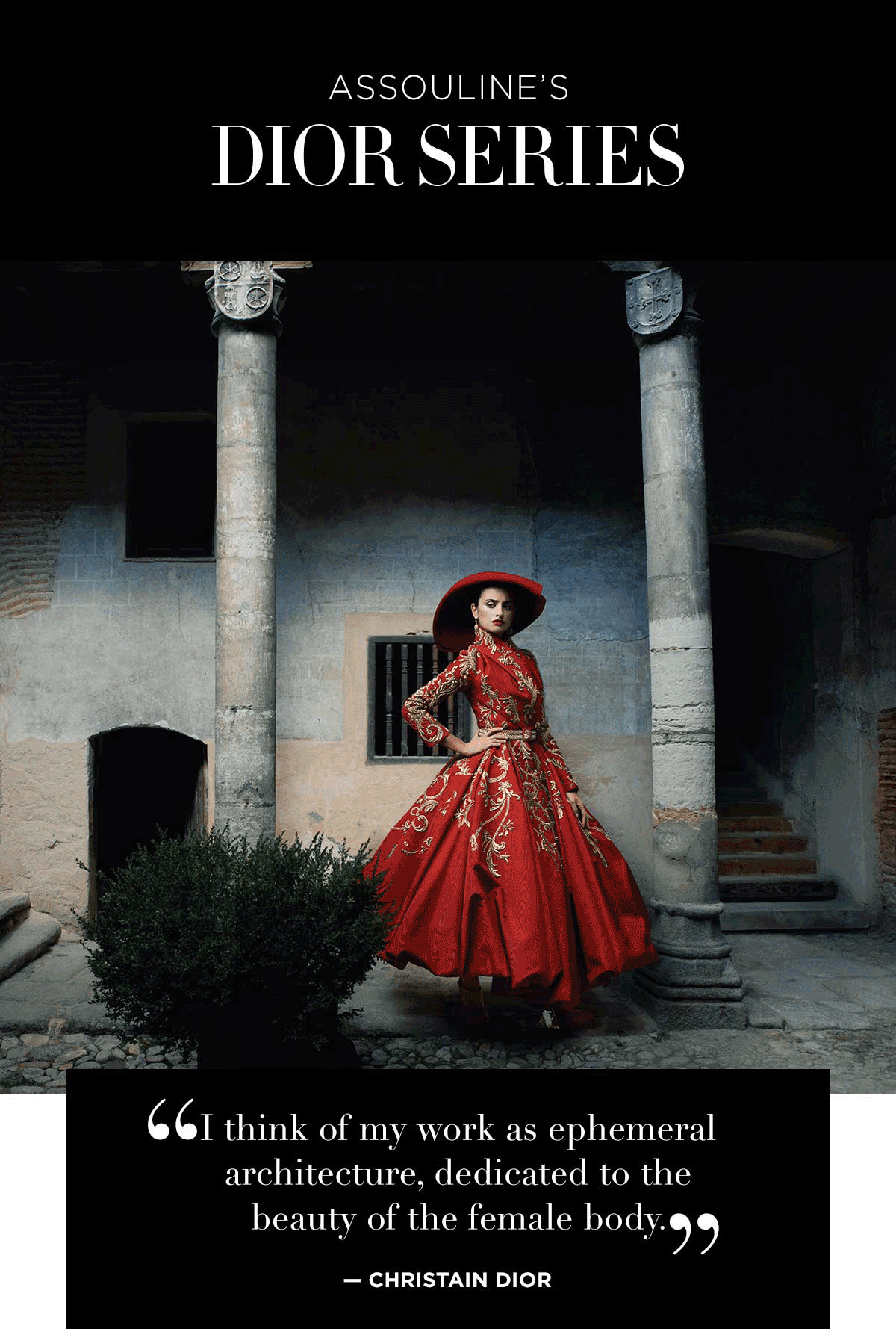 Assouline: The Dior Series | Milled