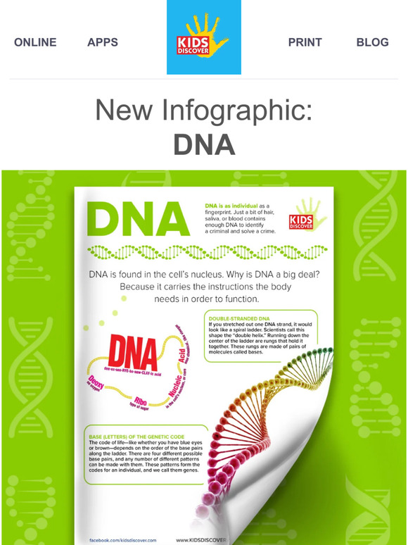 Kids Discover: NEW INFOGRAPHIC: DNA | Milled