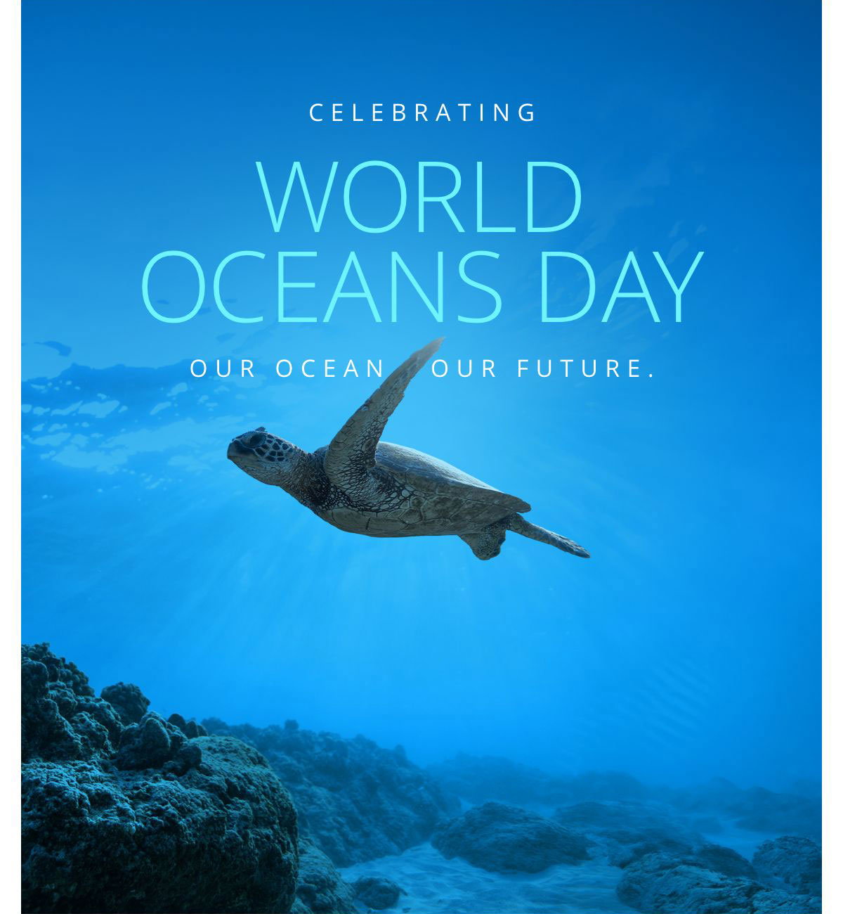 Beaches: Our Oceans, Our Future: We're Celebrating World Oceans Day ...