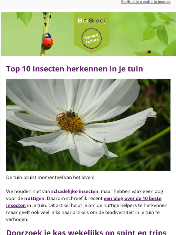Biogroei: 🐞 Nuttige insecten herkennen in je tuin | Wapen jezelf tegen ...