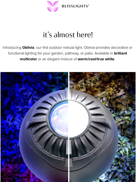 BlissLights: NEW Oblivia – coming soon | Milled