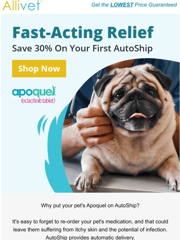 Allivet: Your Dog's Itchy Skin Won’t Stand a Chance | Milled