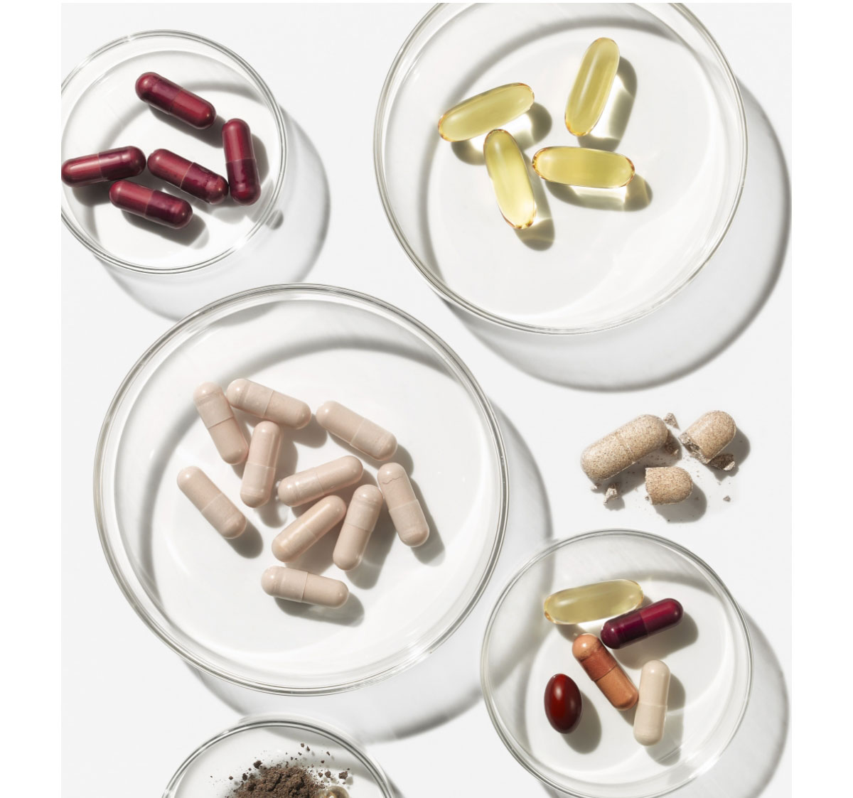 Advanced Nutrition Programme: 👯 Meet the supplements made for each ...