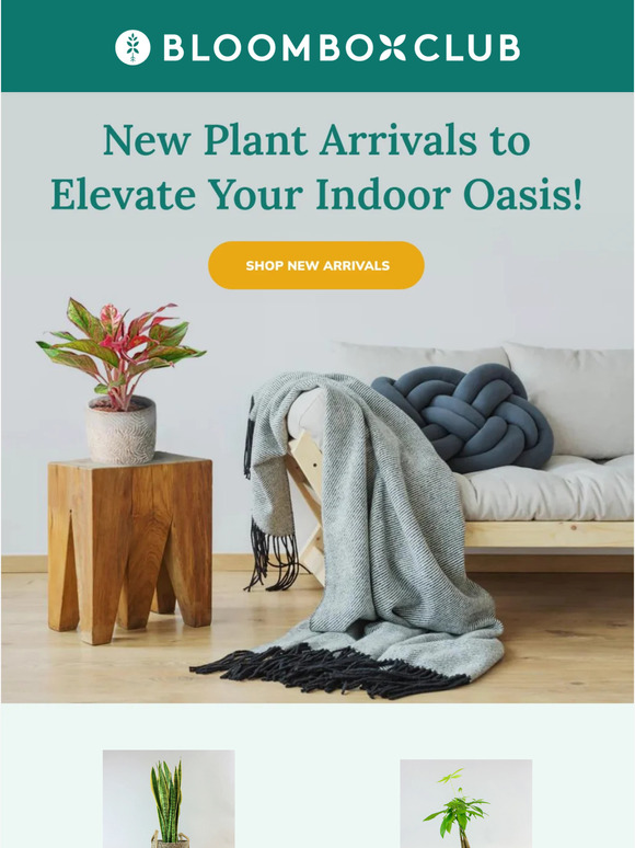 Bloombox Club: Go PEST Go!!!! Plants that help reduce pests.🐛 | Milled