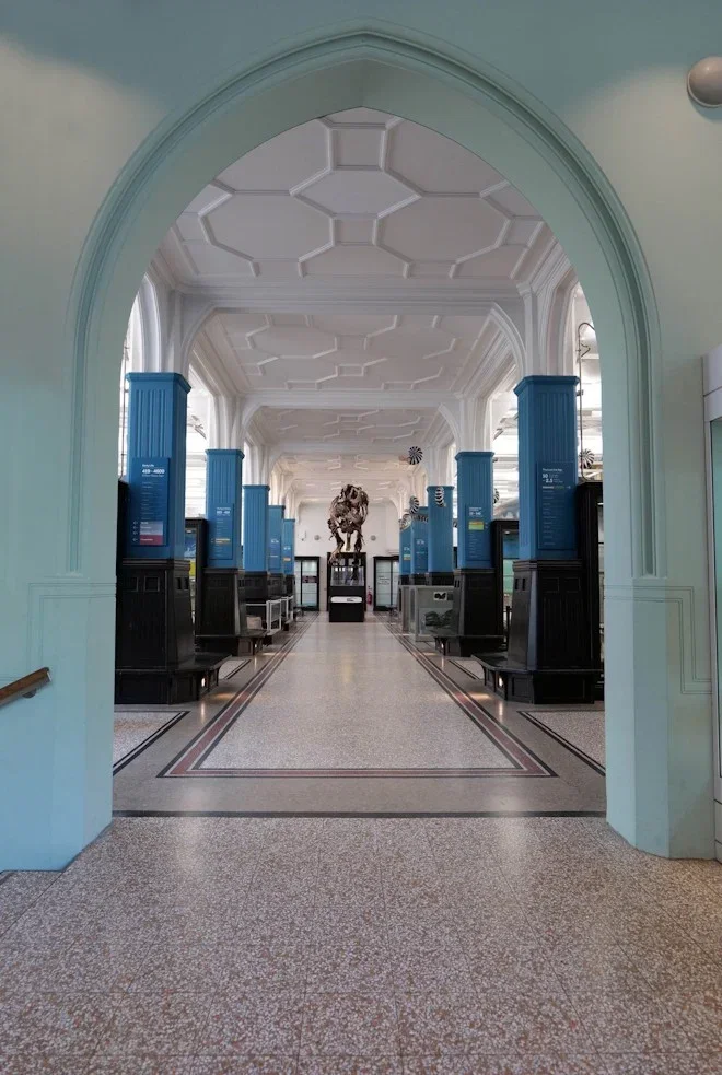 Little Greene: Inside Manchester Museum... | Milled