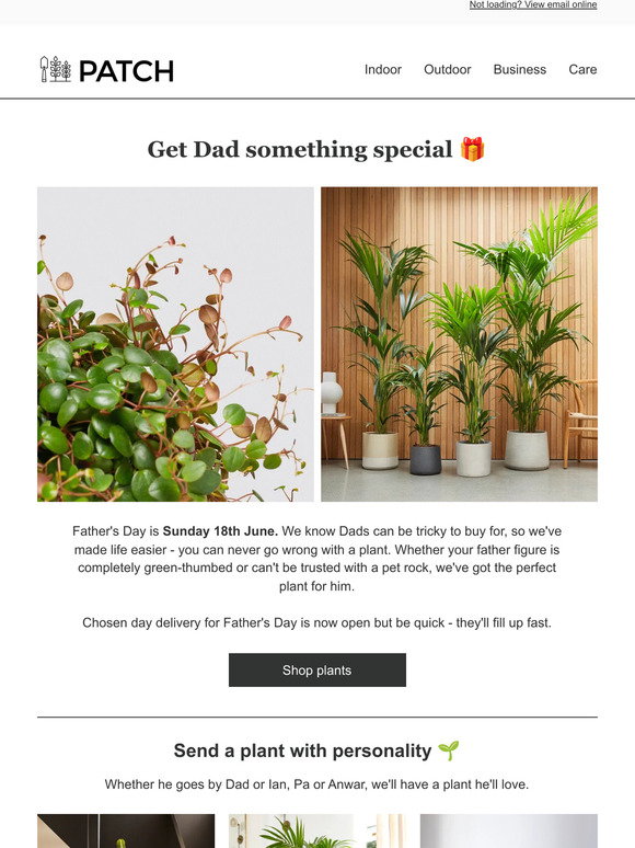 Patch Plants: Father's Day gift ideas 💚 | Milled