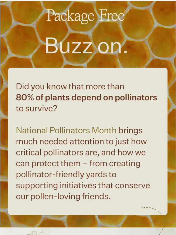 Package Free: All the buzz on National Pollinators Month! 🐝 | Milled