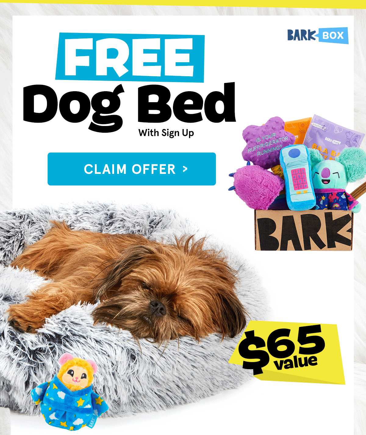 BarkBox: This Free Dog Bed Is Going, Going | Milled