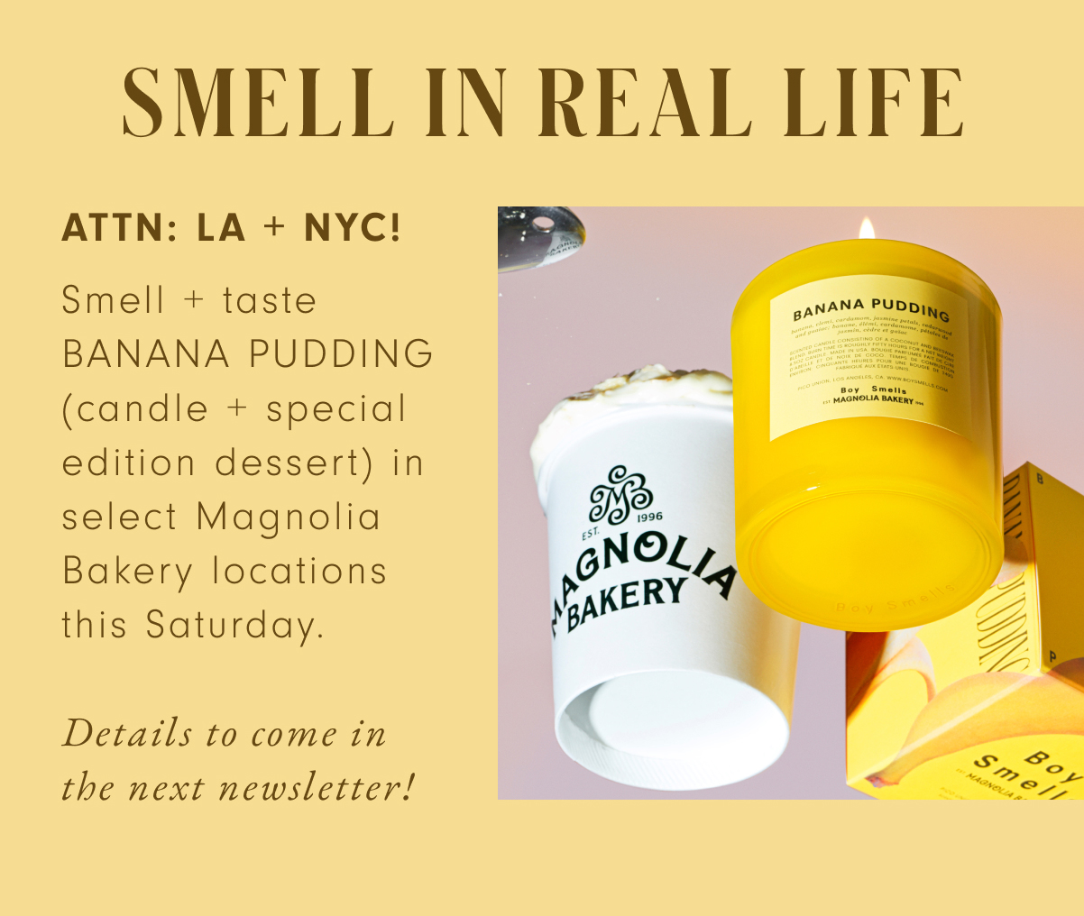 Boy Smells: NEW — BANANA PUDDING | Milled