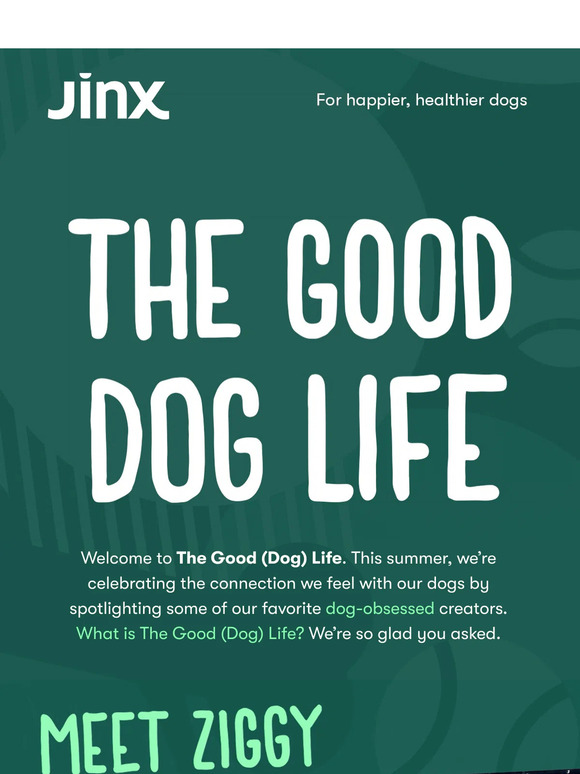 Jinx: Best. Summer. Ever. With The Good (Dog) Life | Milled
