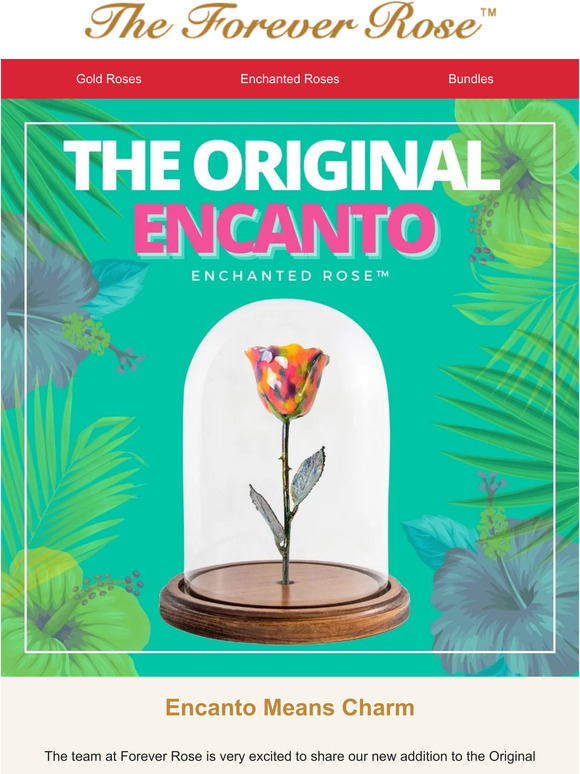 The Forever Rose: Now Available: The Encanto Enchanted Rose™ | Milled