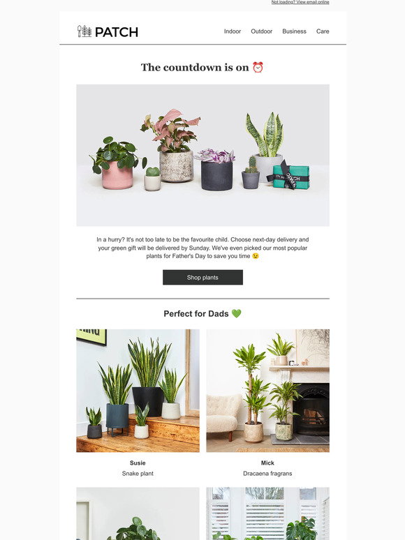 Patch Plants: Father's Day is this weekend 👀 | Milled