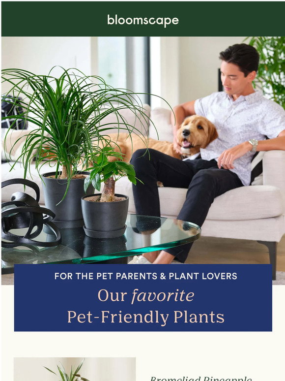 Bloomscape: Plants for Pet Parents 🐾 | Milled