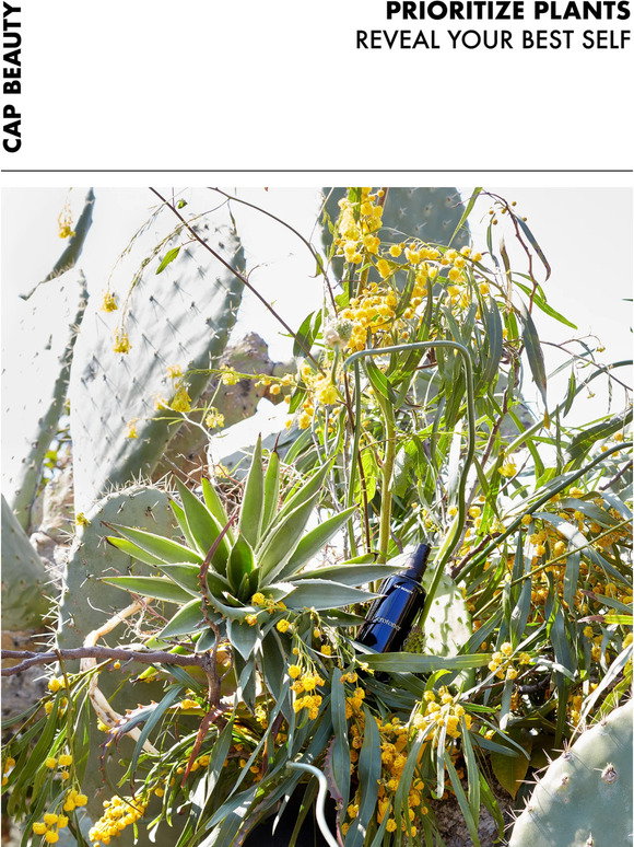 CAP Beauty: Plants as Allies: Prioritize Products Made From Plants | Milled
