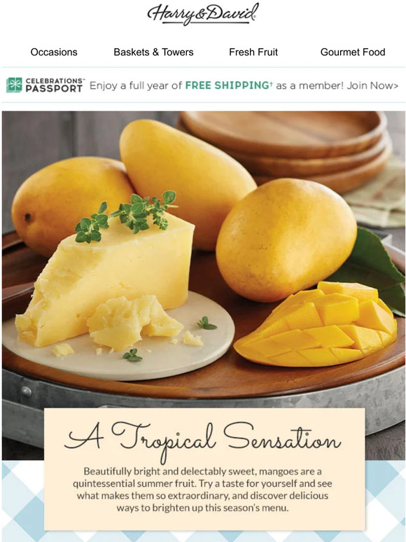 Harry & David: 🥭 Get the inside scoop on the mighty mango. | Milled