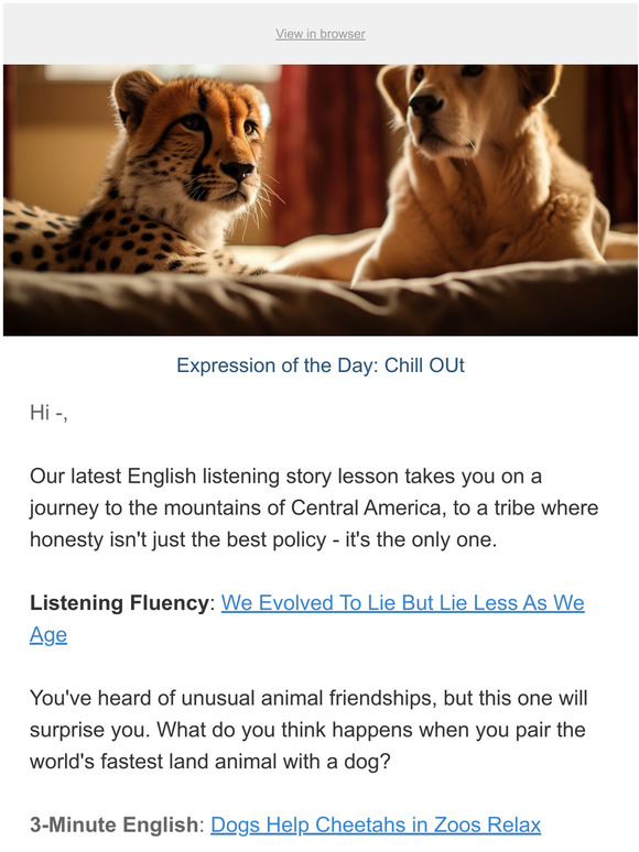 Deep English: New Listening Lesson + Dogs Help Cheetahs in Zoos Relax ...