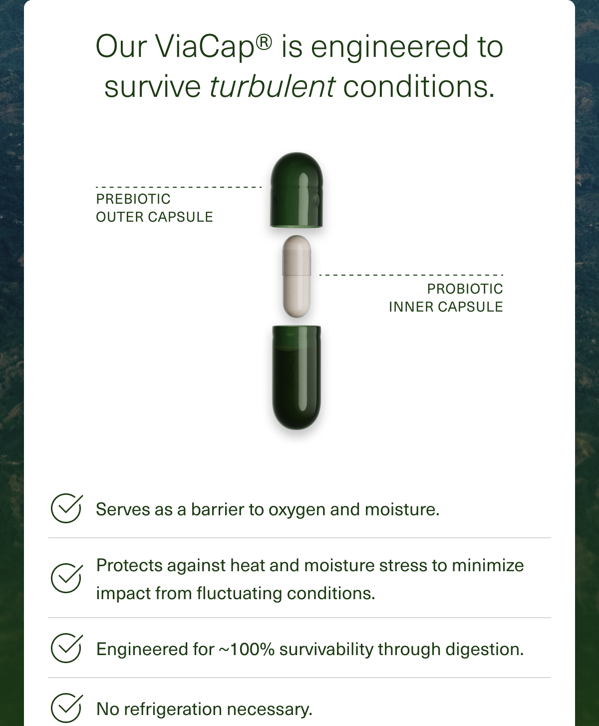 Seed: It’s a bird, it’s a plane, it’s half off DS-01®. | Milled