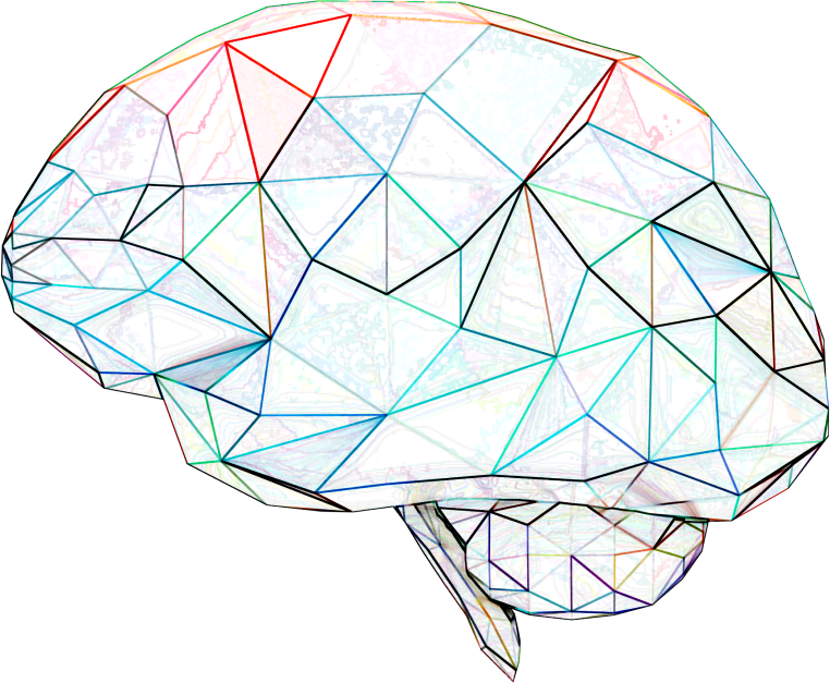 Elysium Health: Index & Matter: Helping you support long-term brain ...
