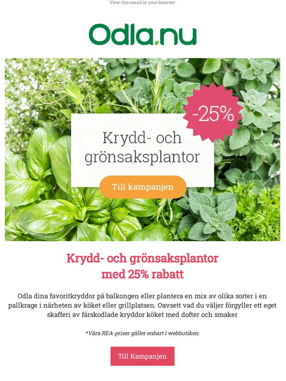 Odla: Midsommarpriser! Krydd- och grönsaksplantor med -25% | Milled