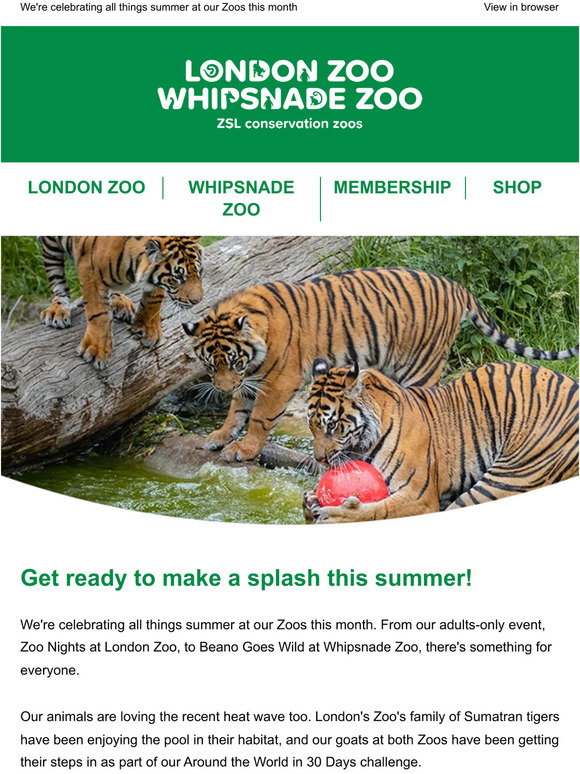 London Zoo: Get ready for a roaring summer at the Zoos! ☀️ | Milled