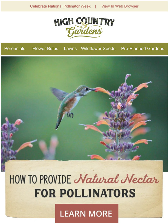 High Country Gardens: How To Provide Natural Nectar For Pollinators ...