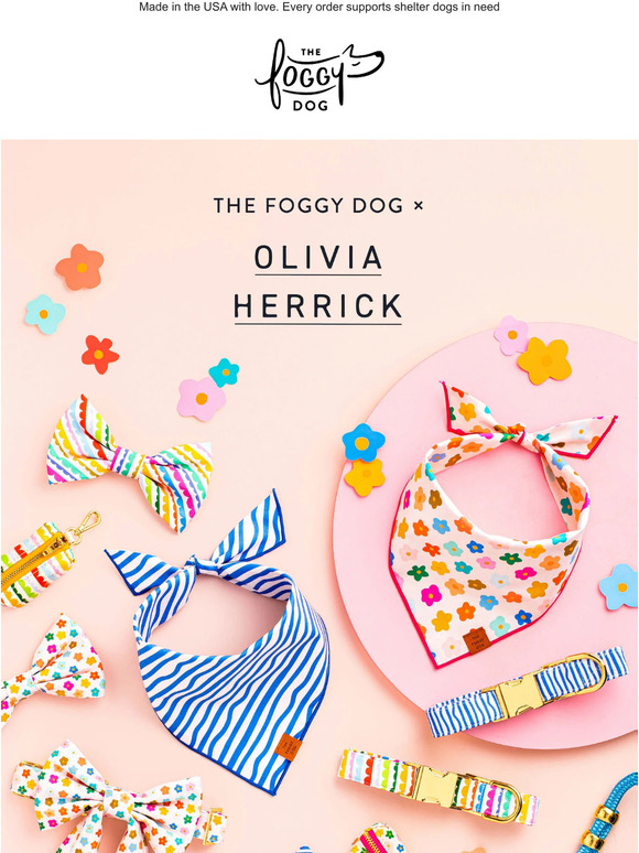 The Foggy Dog: New! The colorful collab of your dreams 🌸💙🌼 | Milled