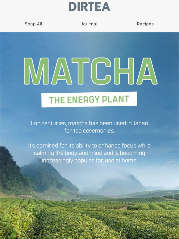 DIRTEA: 🍵 Discover matcha the DIRTEA way 🍄 | Milled