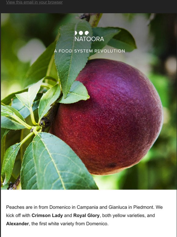 Natoora: A Stone Fruit Surge | Milled