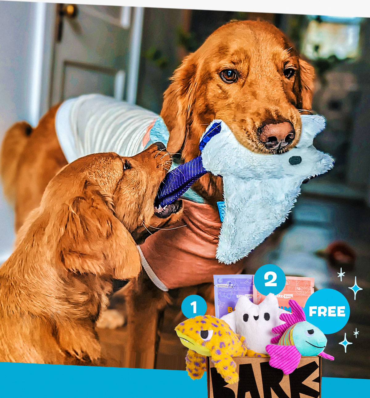 BarkBox: A FREE Toy In Every Box | Milled