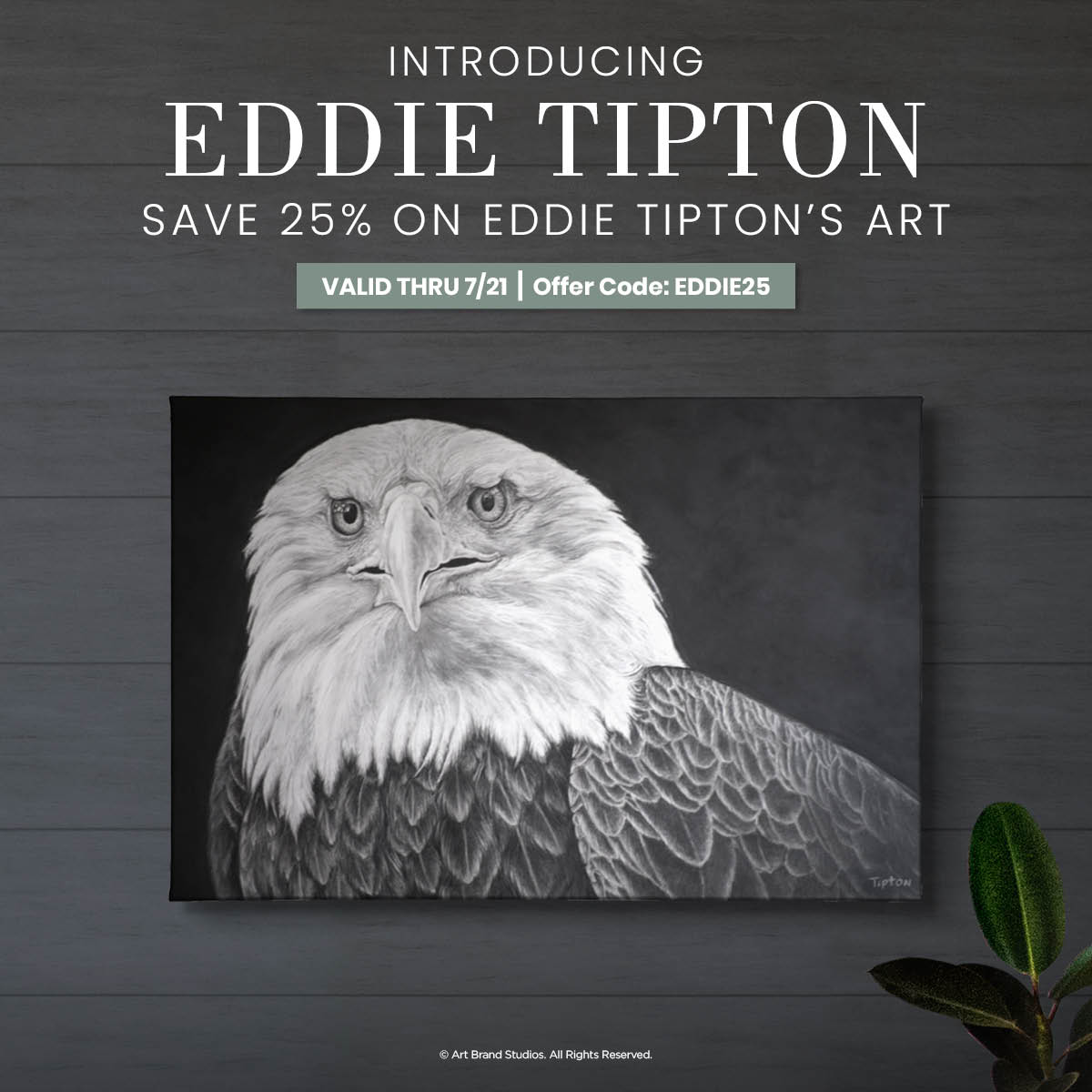 Wild Wings: Introducing Eddie Tipton: Unveiling the his Wildlife Art ...