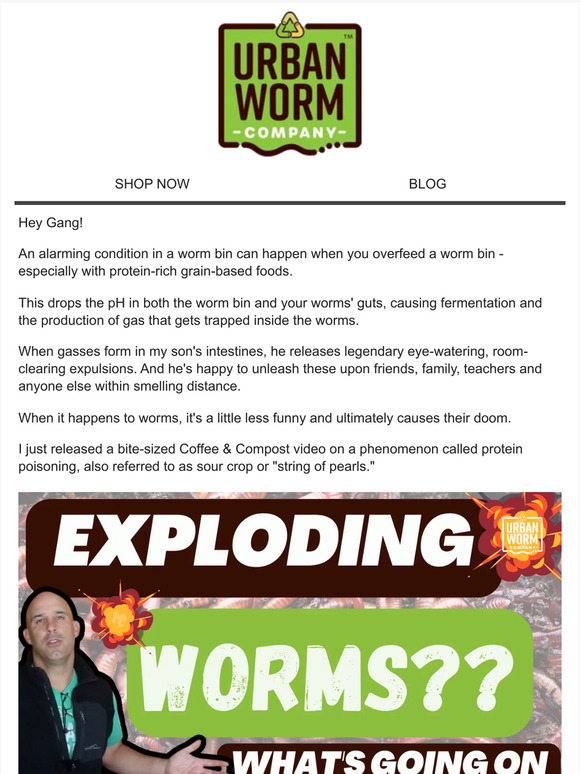 Urban Worm Company: The Mystery of the Exploding Worms | Milled