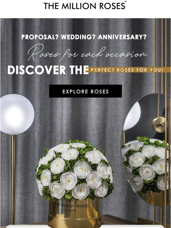 The Million Roses: Proposal? Wedding? Anniversary? Roses for each ...