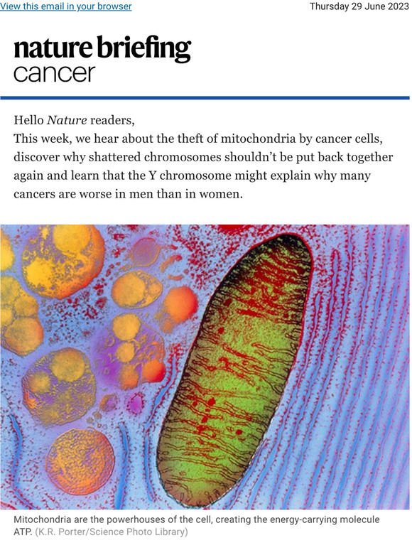 Nature: Cancer plunders power units from healthy cells | Milled