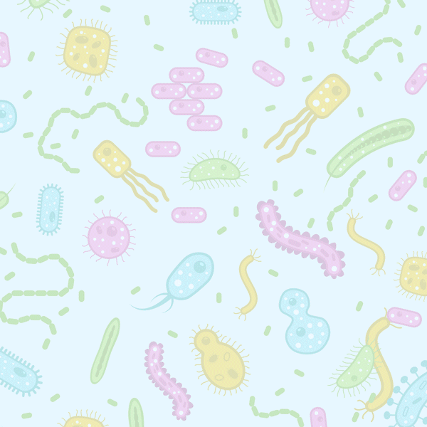 GIANTmicrobes: NEW from GIANTmicrobes! Plus Guess the Microbe Contest ...