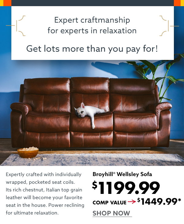Big Lots: Check out our new Broyhill collection! 😍 | Milled