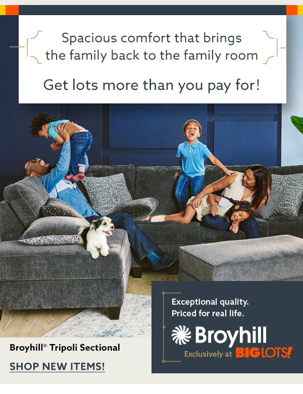 Big Lots: Check out our new Broyhill collection! 😍 | Milled