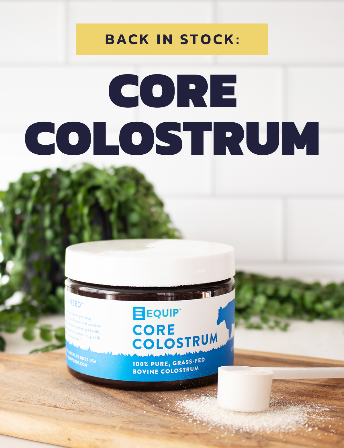 Equip Foods: Core Colostrum is Back in Stock! | Milled