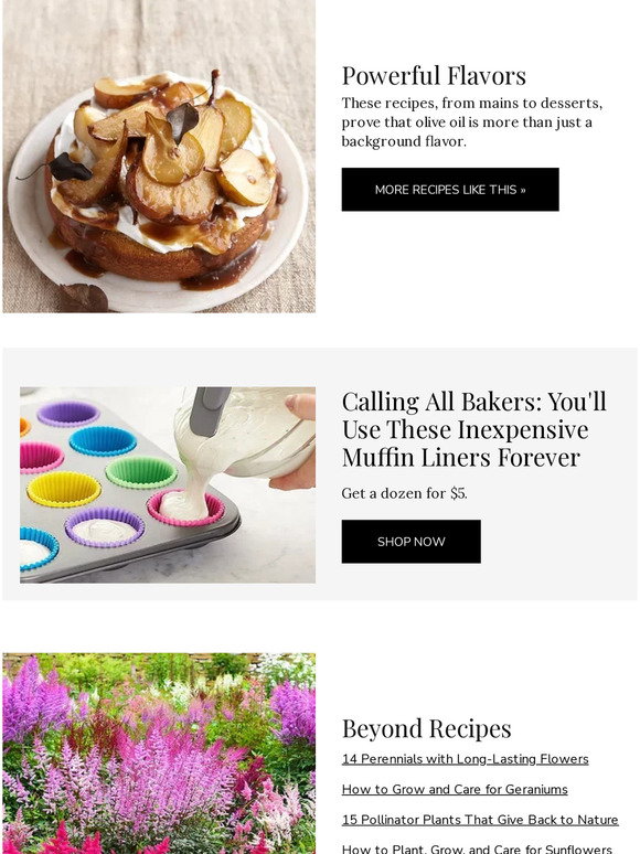 Martha Stewart: 15 Recipes That Showcase Unique Ways to Use Olive Oil ...